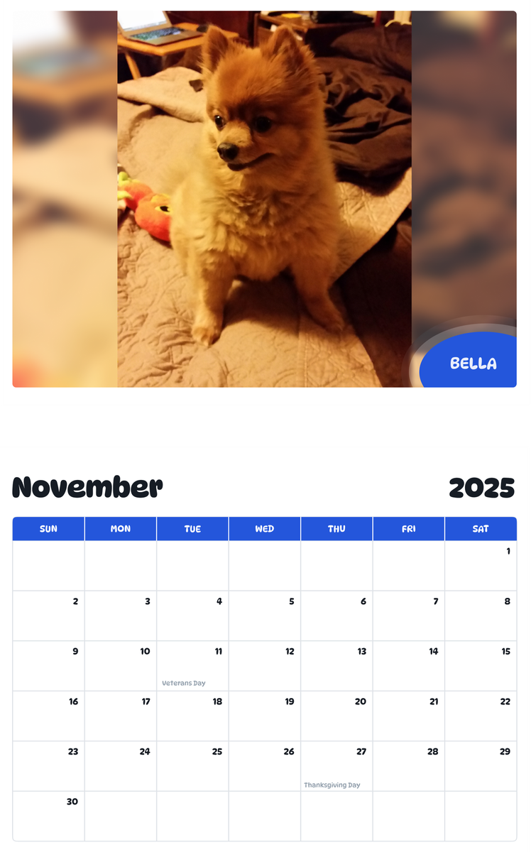July 2025 - June 2026 Bella - Pawidols Pet Calendar