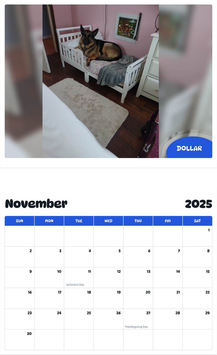 July 2025 - June 2026 Dollar - Pawidols Pet Calendar