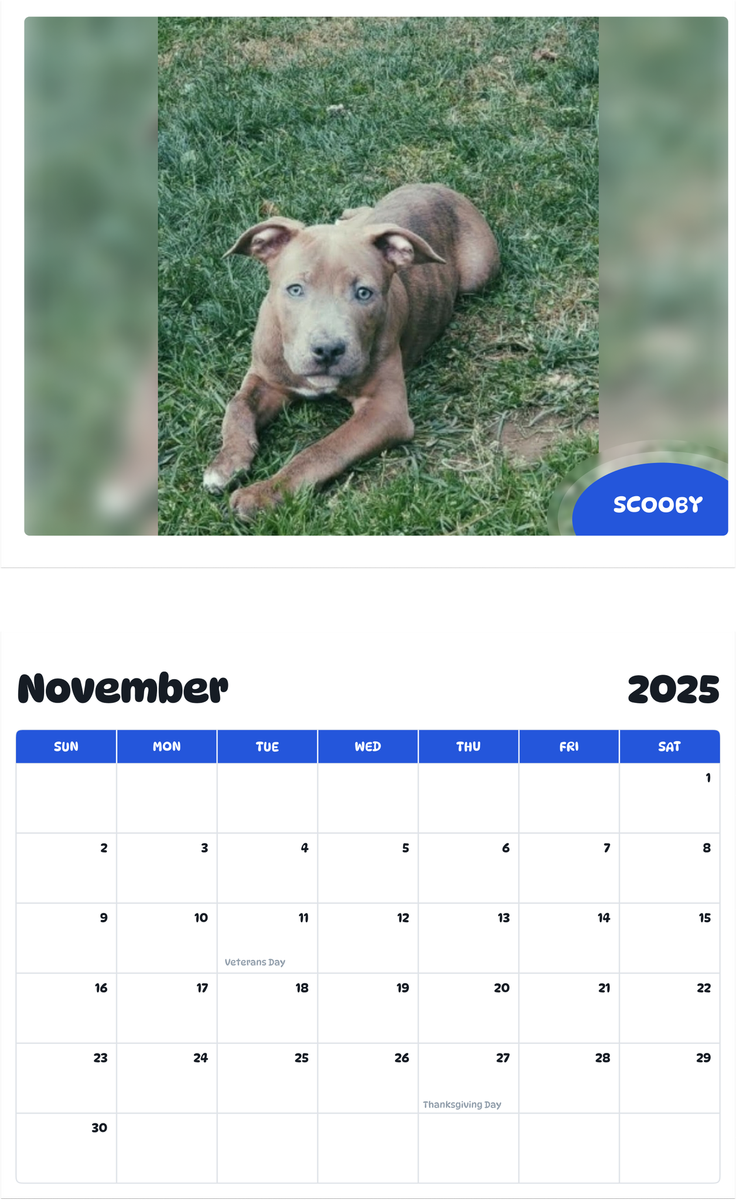 July 2025 - June 2026 Scooby - Pawidols Pet Calendar