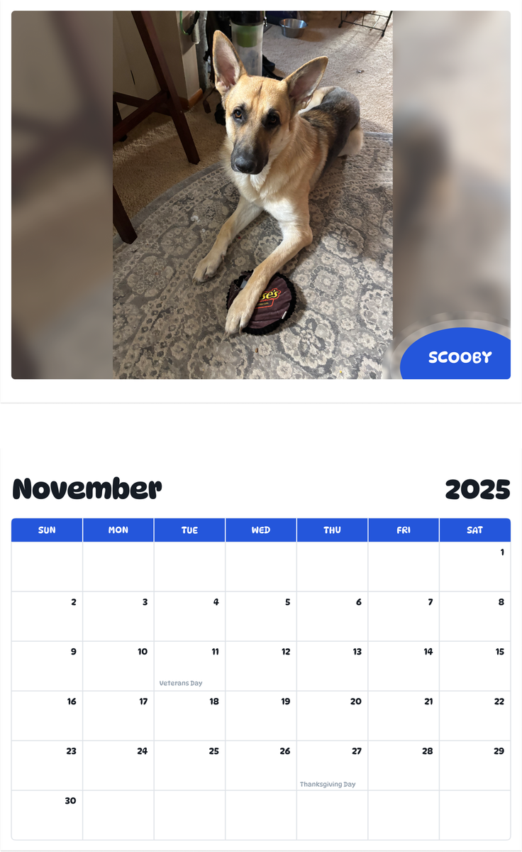 July 2025 - June 2026 Scooby - Pawidols Pet Calendar