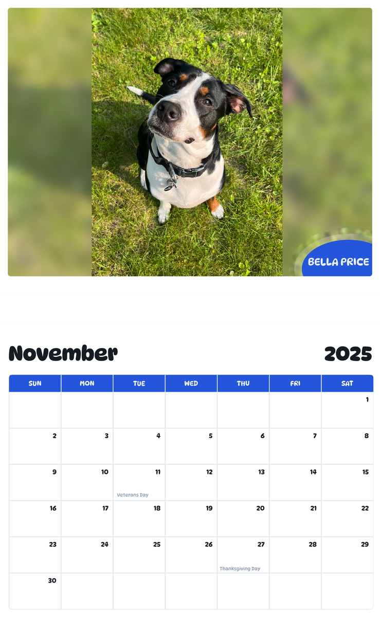 July 2025 - June 2026 Bella price - Pawidols Pet Calendar