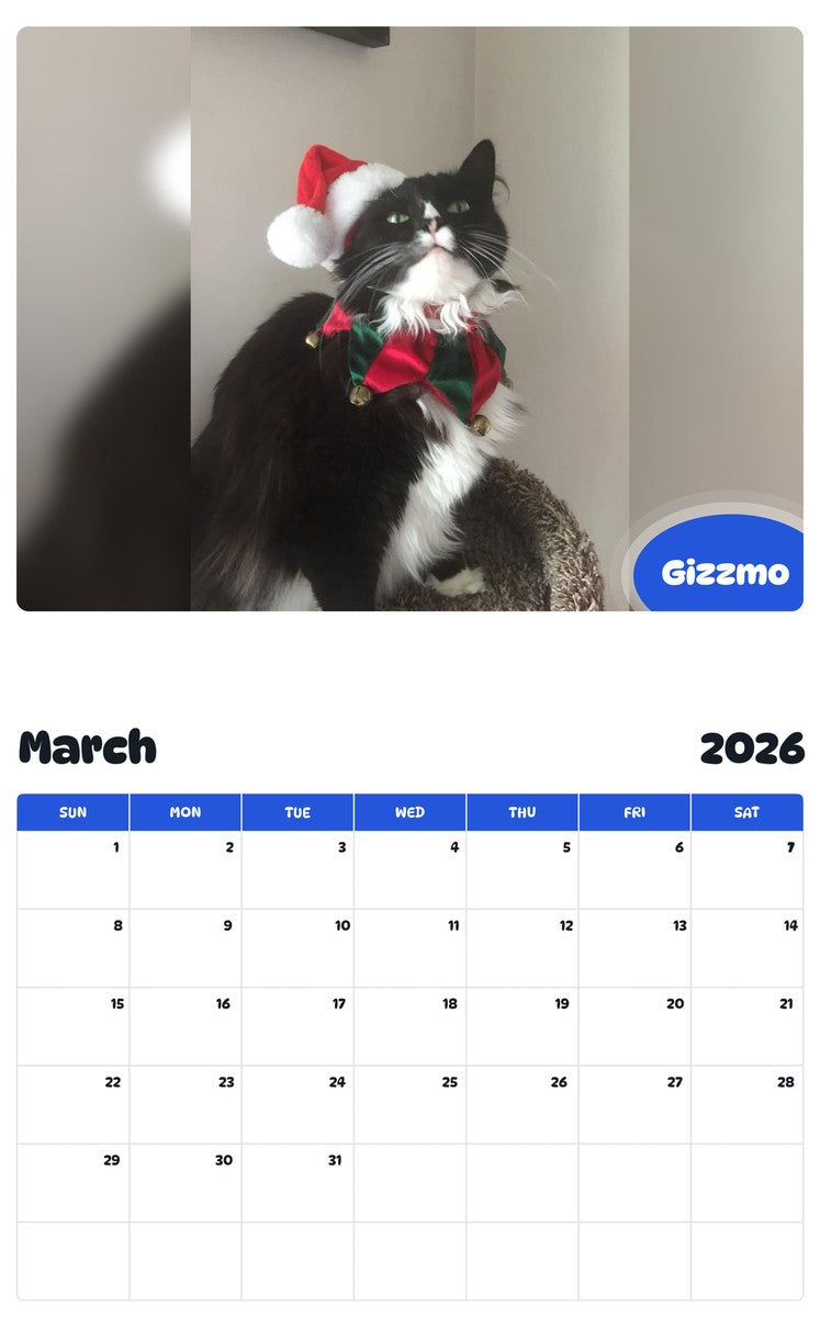 November 2025 - October 2026 Gizzmo - Pawidols Pet Calendar