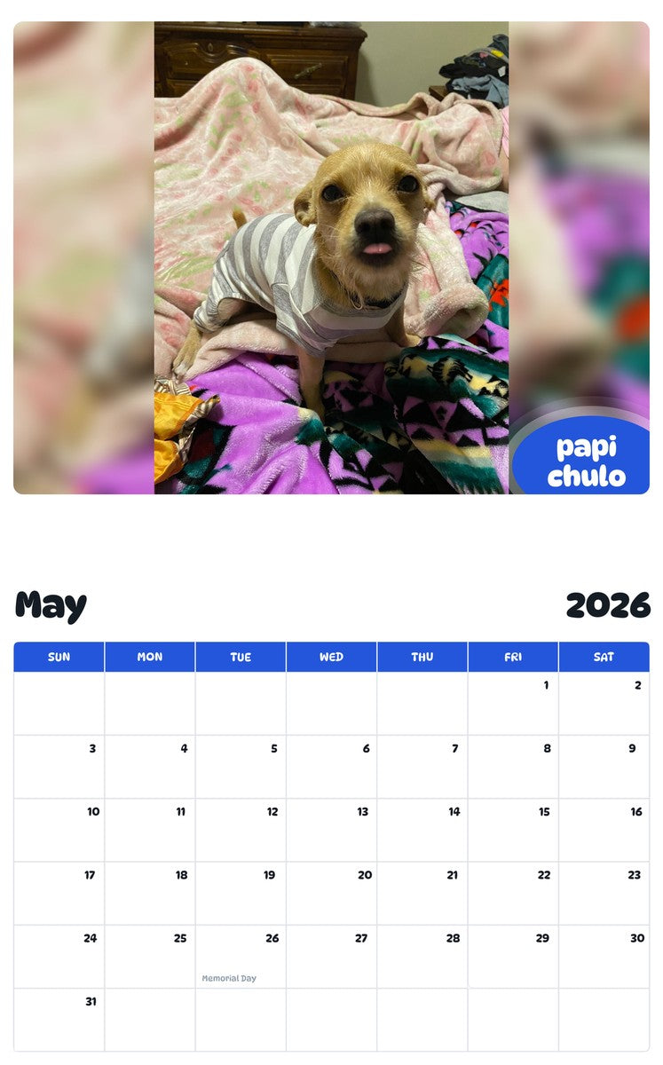 2026 - 2027 papi chulo - Pawidols Pet Calendar