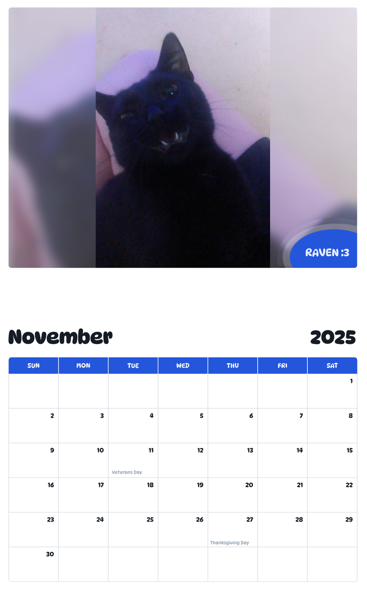 July 2025 - June 2026 Raven :3 - Pawidols Pet Calendar