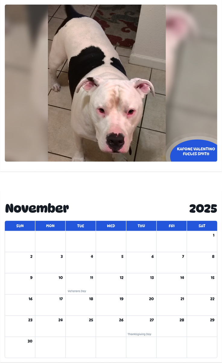 July 2025 - June 2026 Kapone Valentino Fucles Smith - Pawidols Pet Cal