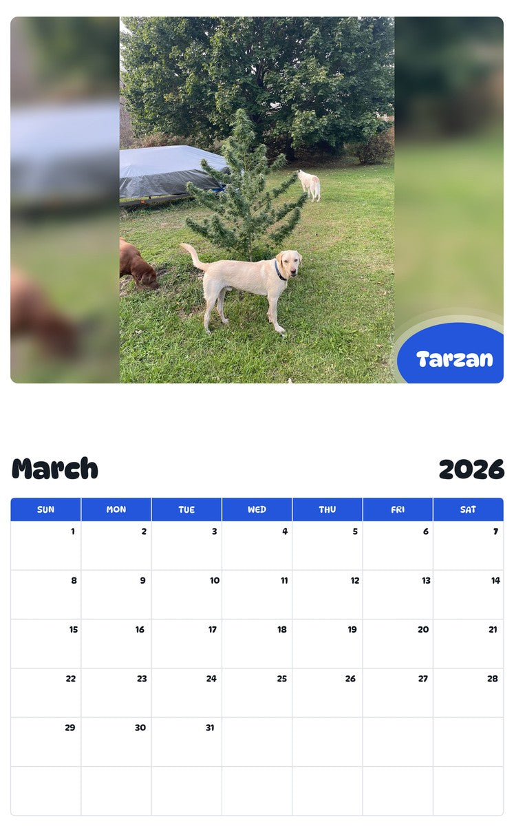 November 2025 - October 2026 Tarzan - Pawidols Pet Calendar