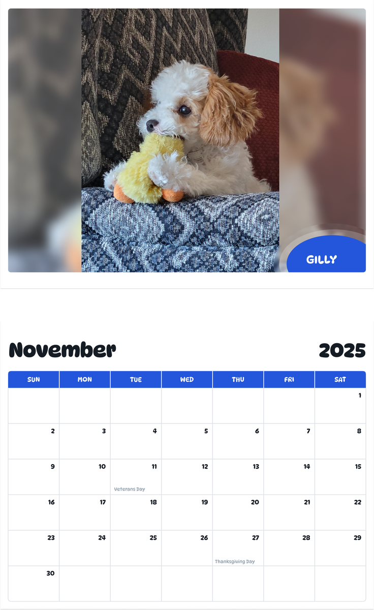 July 2025 - June 2026 Gilly - Pawidols Pet Calendar