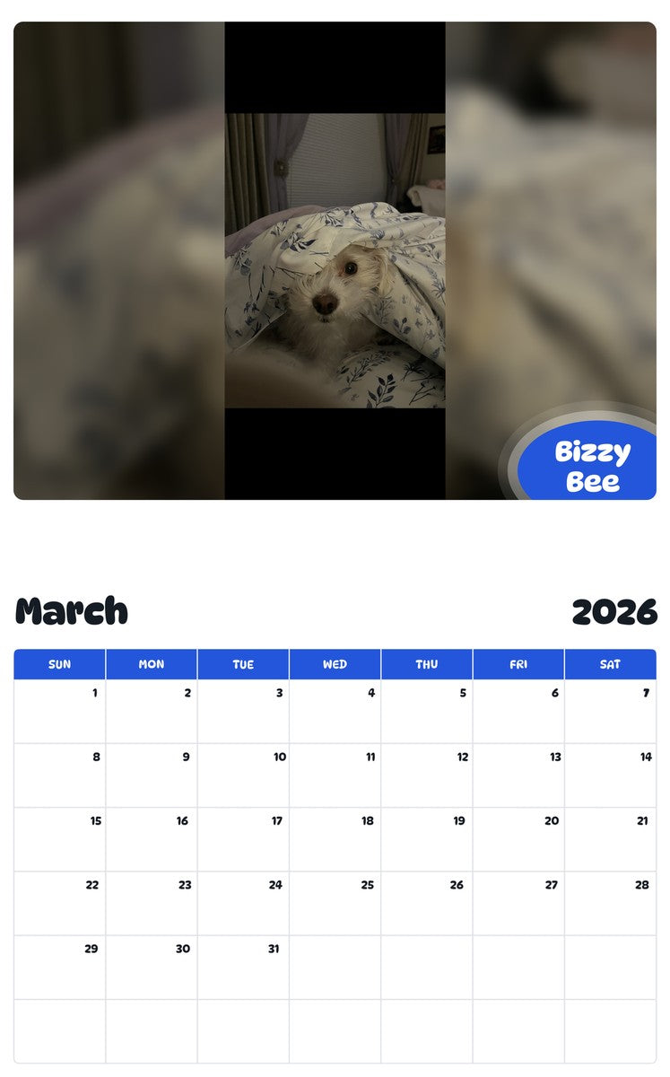 November 2025 - October 2026 Bizzy Bee - Pawidols Pet Calendar