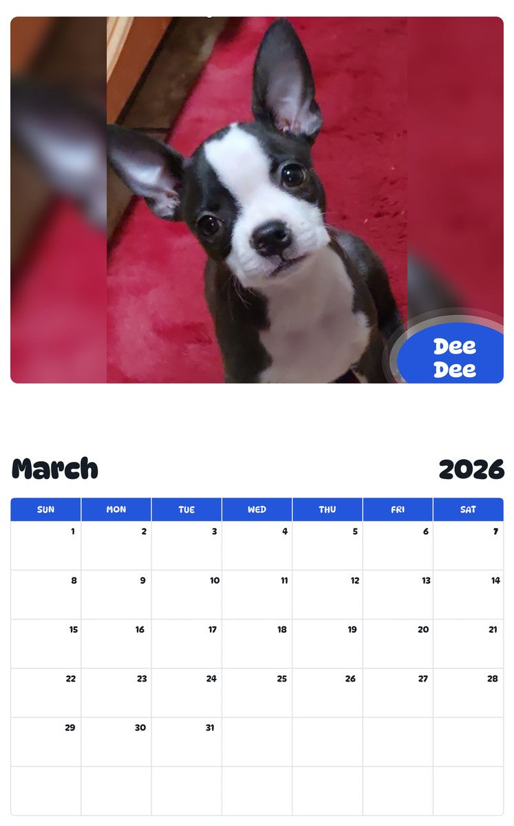 November 2025 - October 2026 Dee Dee - Pawidols Pet Calendar