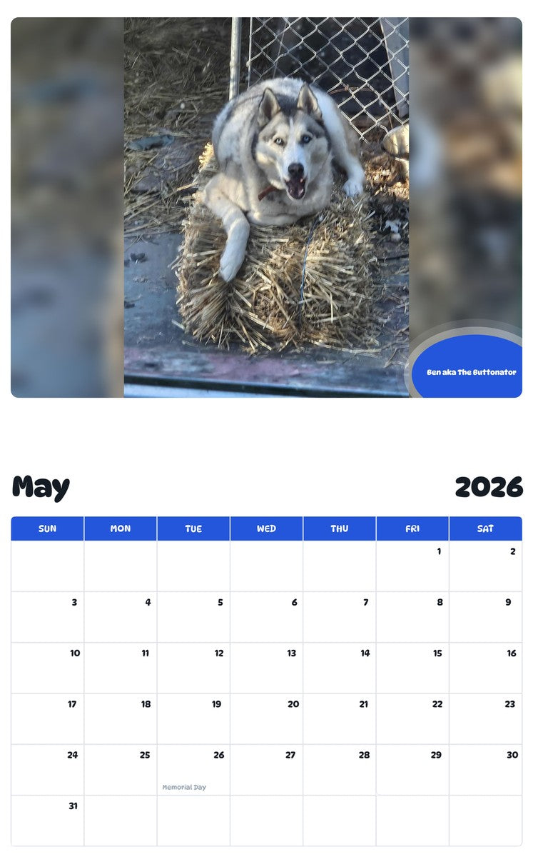2026 - 2027 Ben aka The Buttonator - Pawidols Pet Calendar