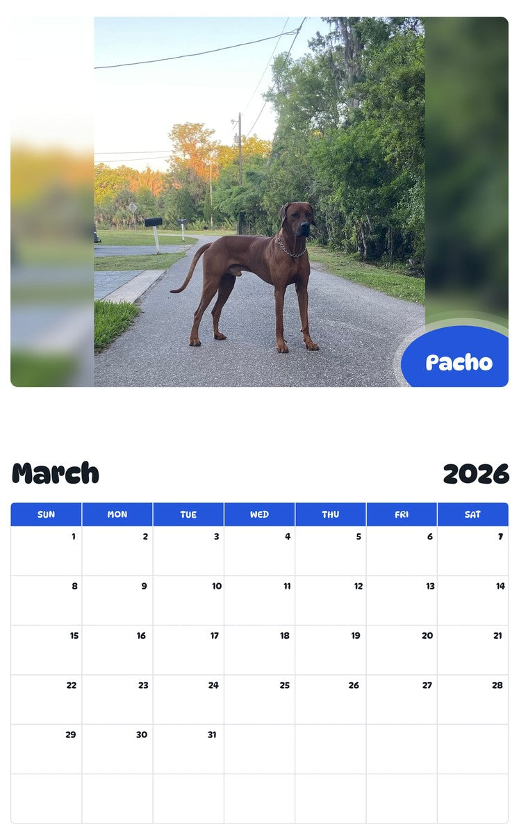 November 2025 - October 2026 Pacho - Pawidols Pet Calendar