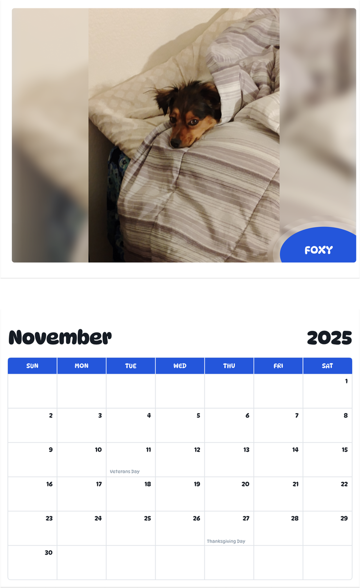 July 2025 - June 2026 Foxy - Pawidols Pet Calendar