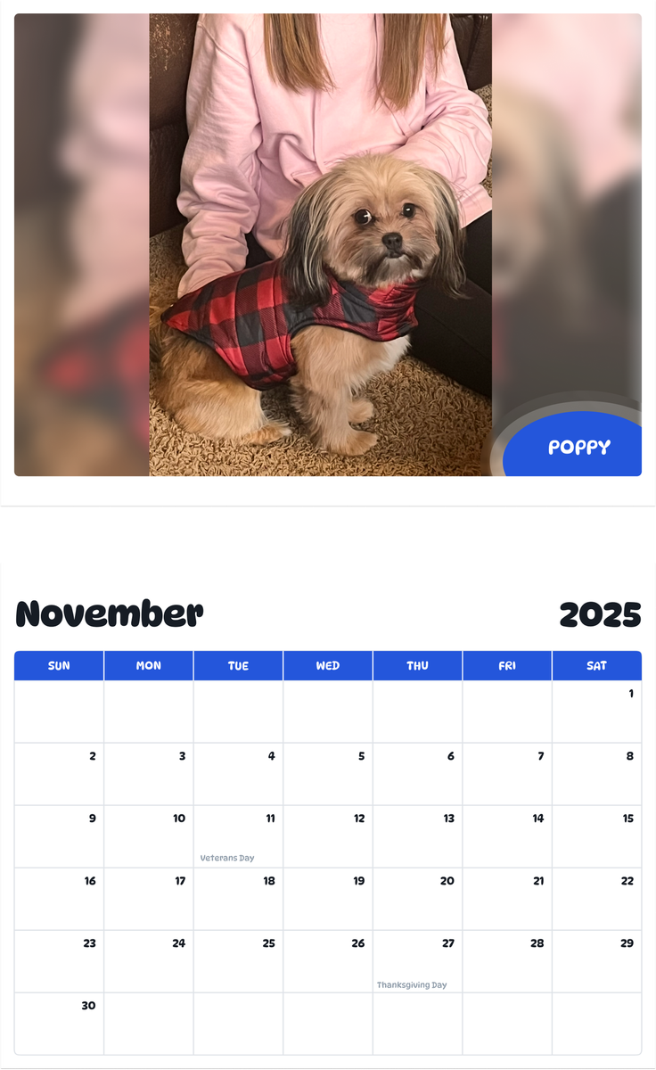 July 2025 - June 2026 Poppy - Pawidols Pet Calendar