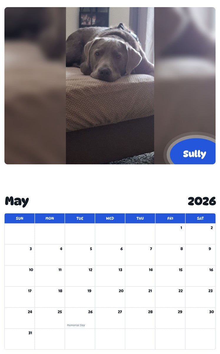 2026 - 2027 Sully - Pawidols Pet Calendar