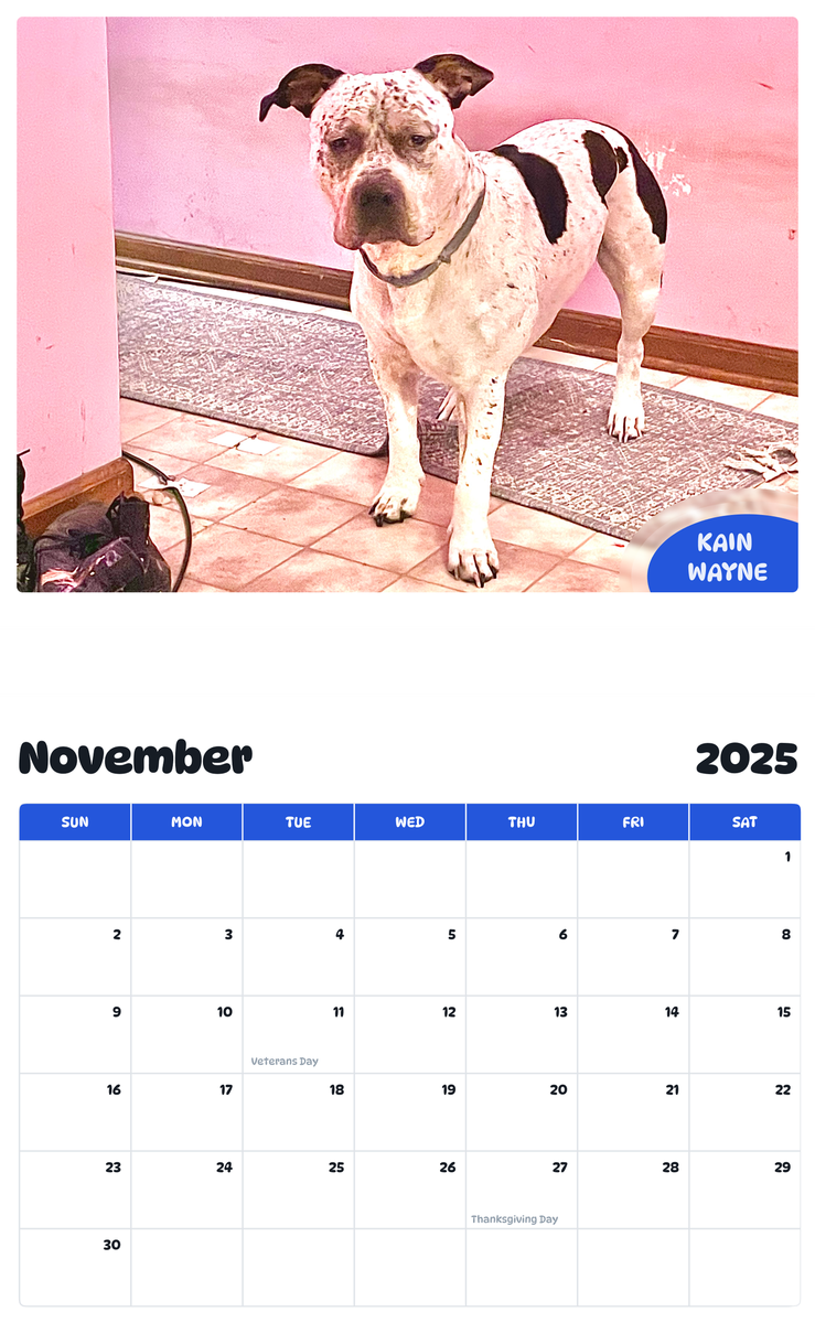 July 2025 - June 2026 Kain Wayne - Pawidols Pet Calendar