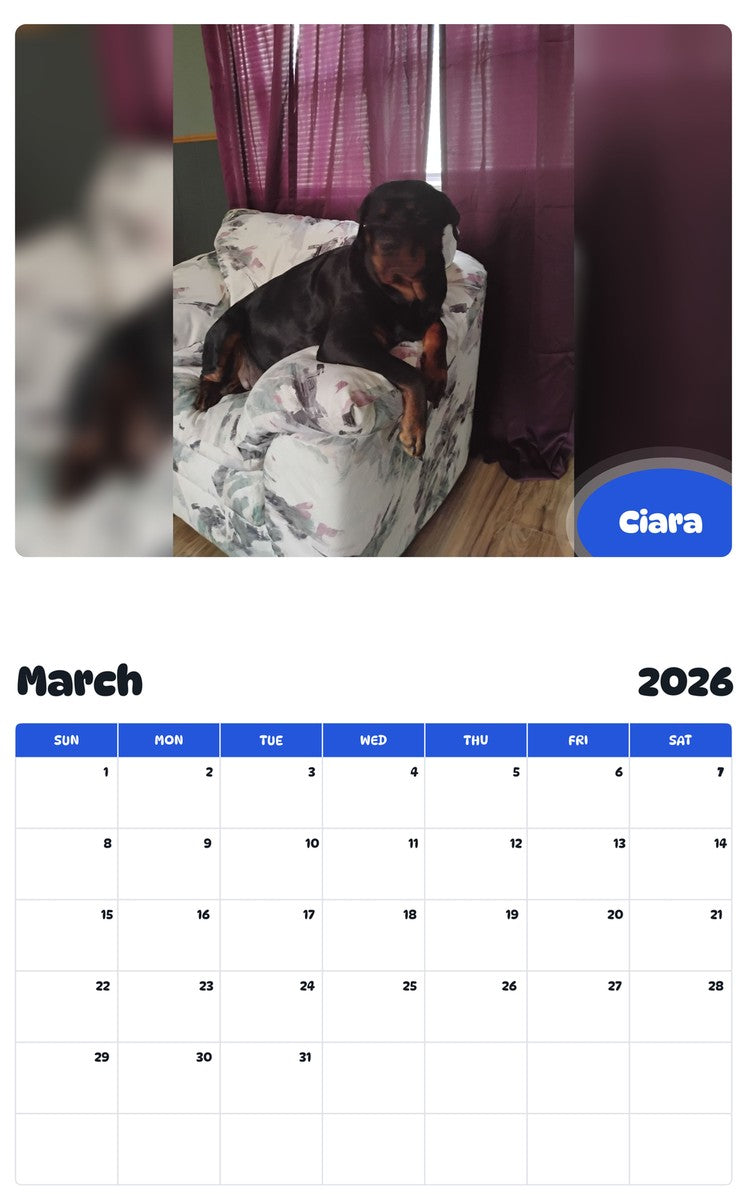 November 2025 - October 2026 Ciara - Pawidols Pet Calendar