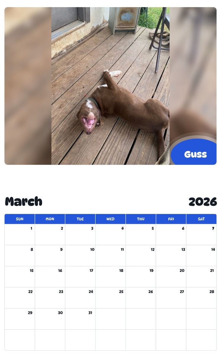 November 2025 - October 2026 Guss - Pawidols Pet Calendar