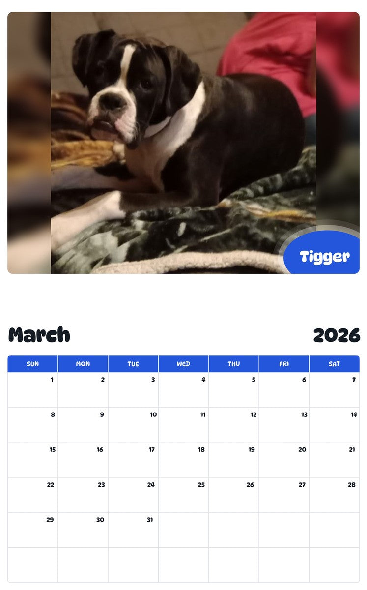 November 2025 - October 2026 Tigger - Pawidols Pet Calendar