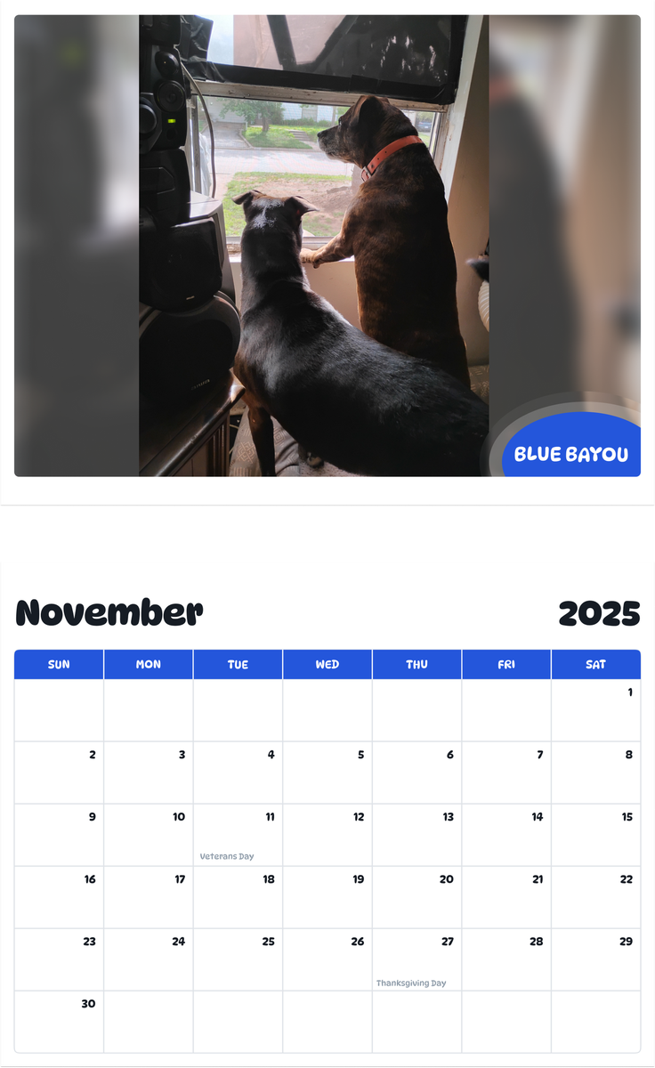 July 2025 - June 2026 Blue bayou - Pawidols Pet Calendar