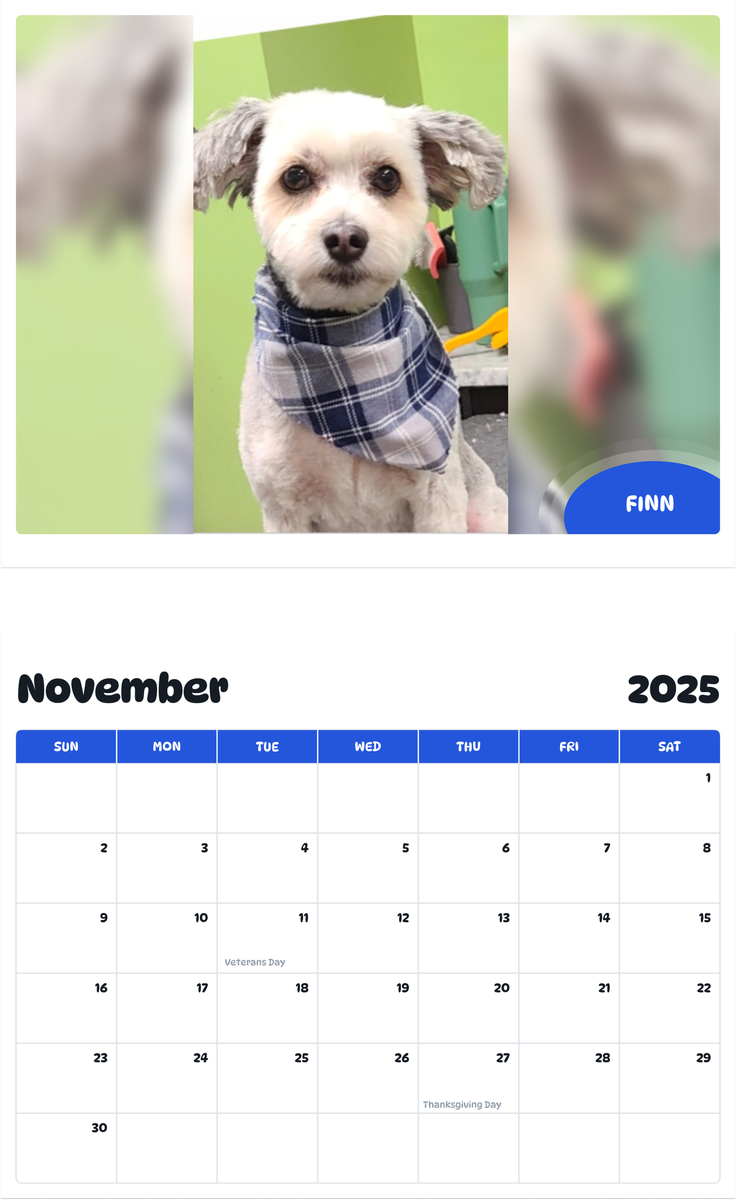 July 2025 - June 2026 Finn - Pawidols Pet Calendar