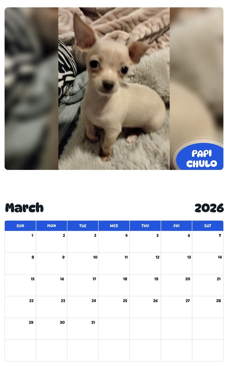 November 2025 - October 2026 PAPI CHULO - Pawidols Pet Calendar