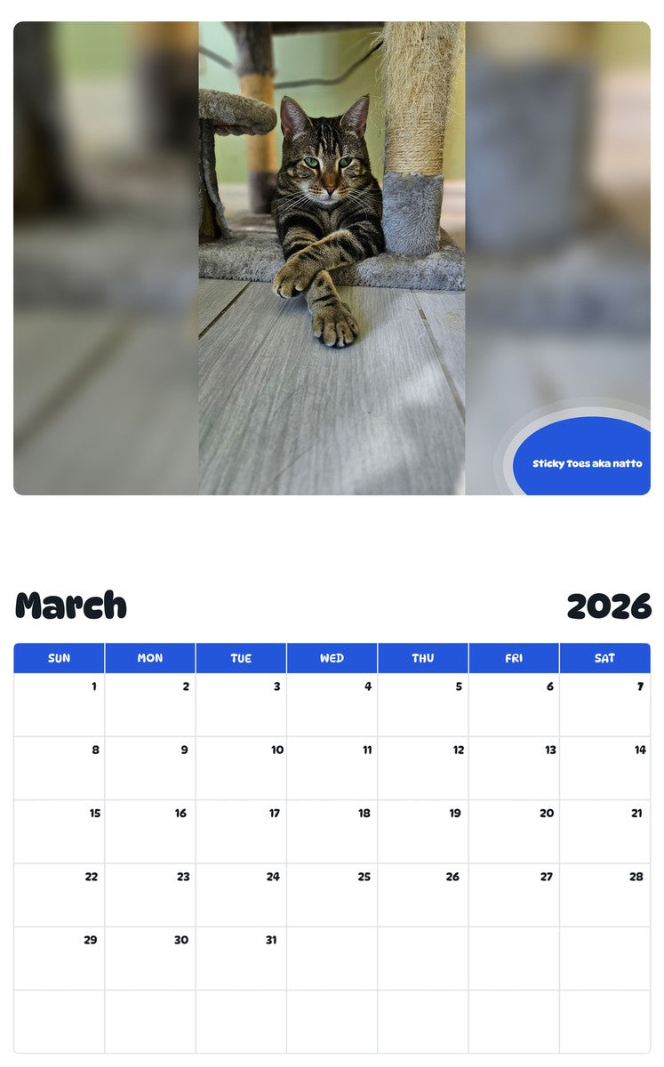 November 2025 - October 2026 Sticky Toes aka natto - Pawidols Pet Cale