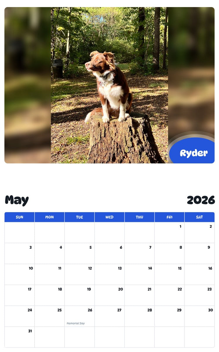 2026 - 2027 Ryder - Pawidols Pet Calendar