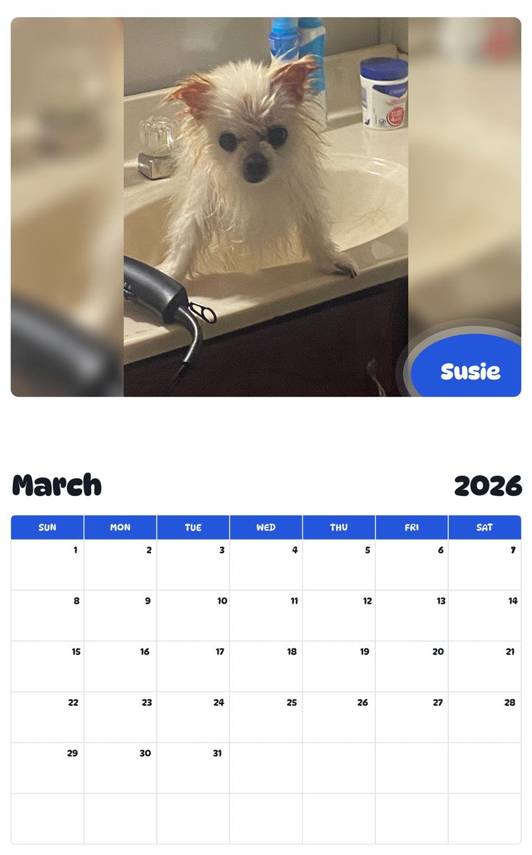 November 2025 - October 2026 Susie - Pawidols Pet Calendar