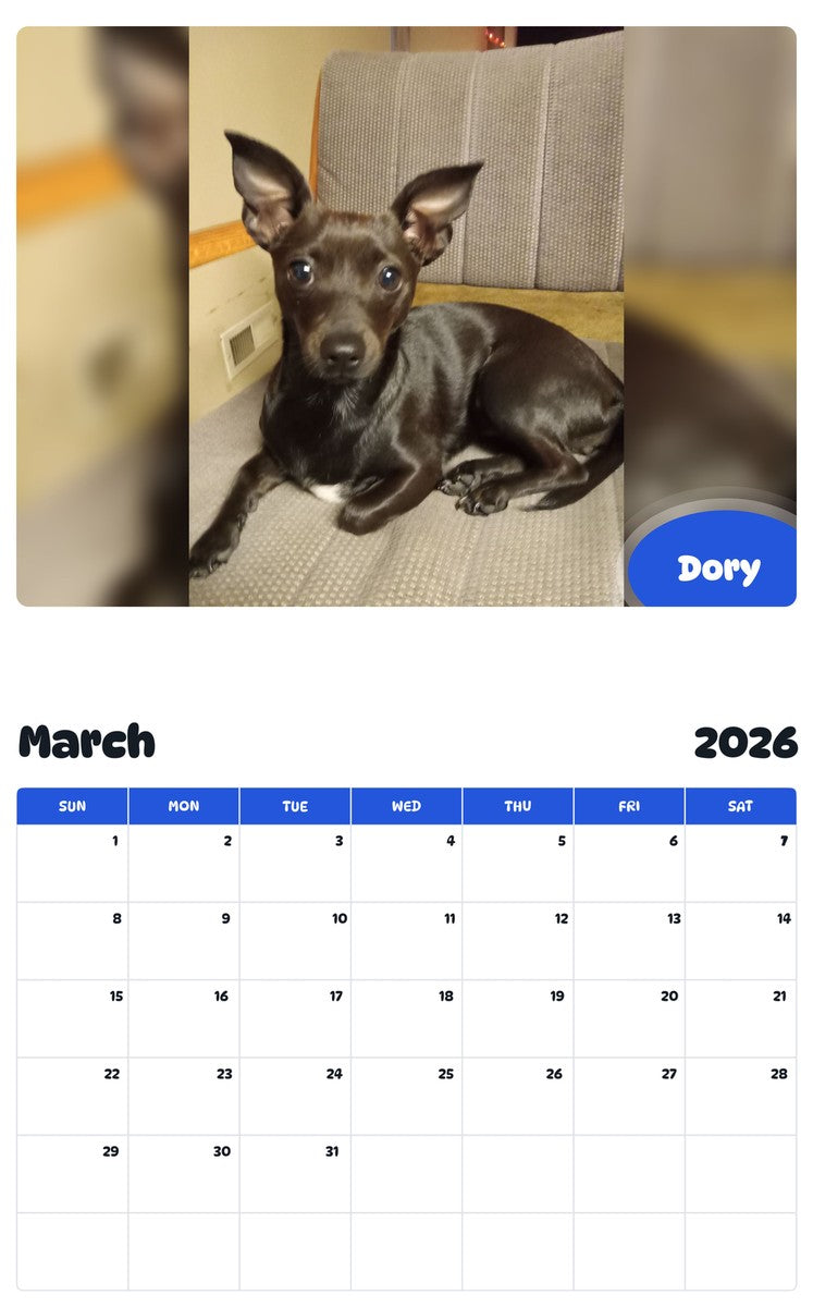 November 2025 - October 2026 Dory - Pawidols Pet Calendar
