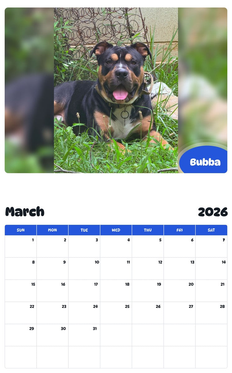November 2025 - October 2026 Bubba - Pawidols Pet Calendar