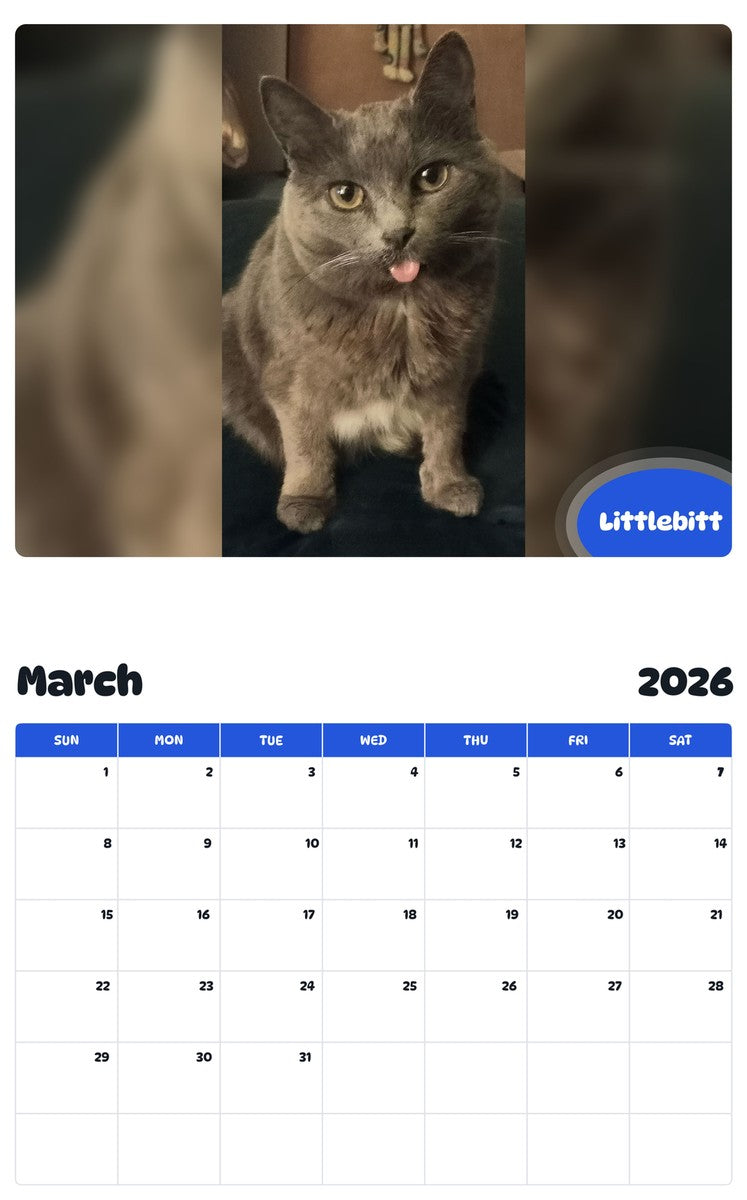 November 2025 - October 2026 Littlebitt - Pawidols Pet Calendar