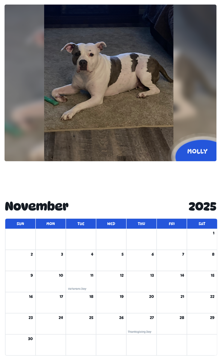 July 2025 - June 2026 Molly - Pawidols Pet Calendar