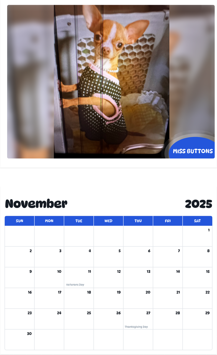July 2025 - June 2026 Miss Buttons - Pawidols Pet Calendar