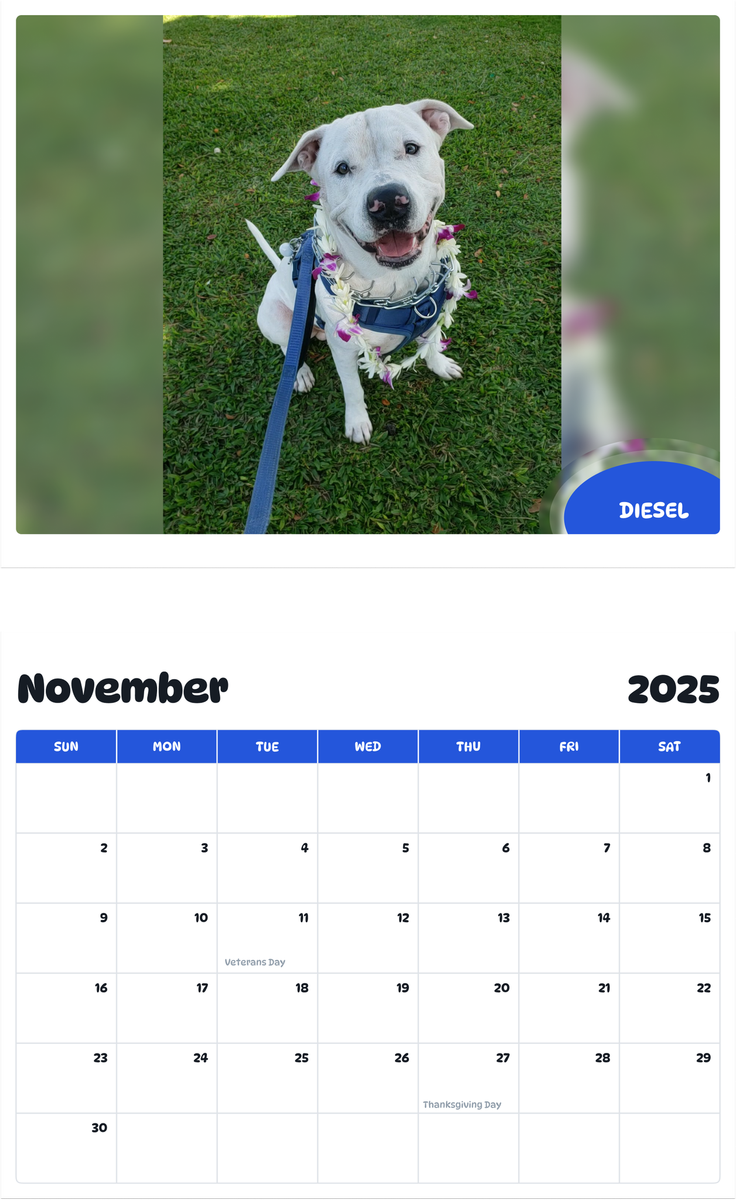 July 2025 - June 2026 Diesel - Pawidols Pet Calendar