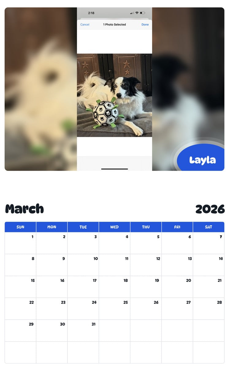 November 2025 - October 2026 Layla - Pawidols Pet Calendar