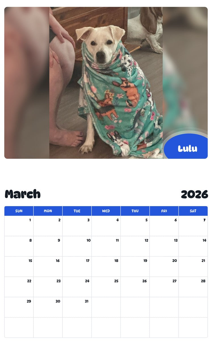 November 2025 - October 2026 Lulu - Pawidols Pet Calendar