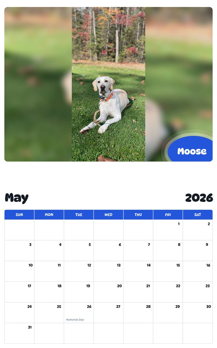 2026 - 2027 Moose - Pawidols Pet Calendar