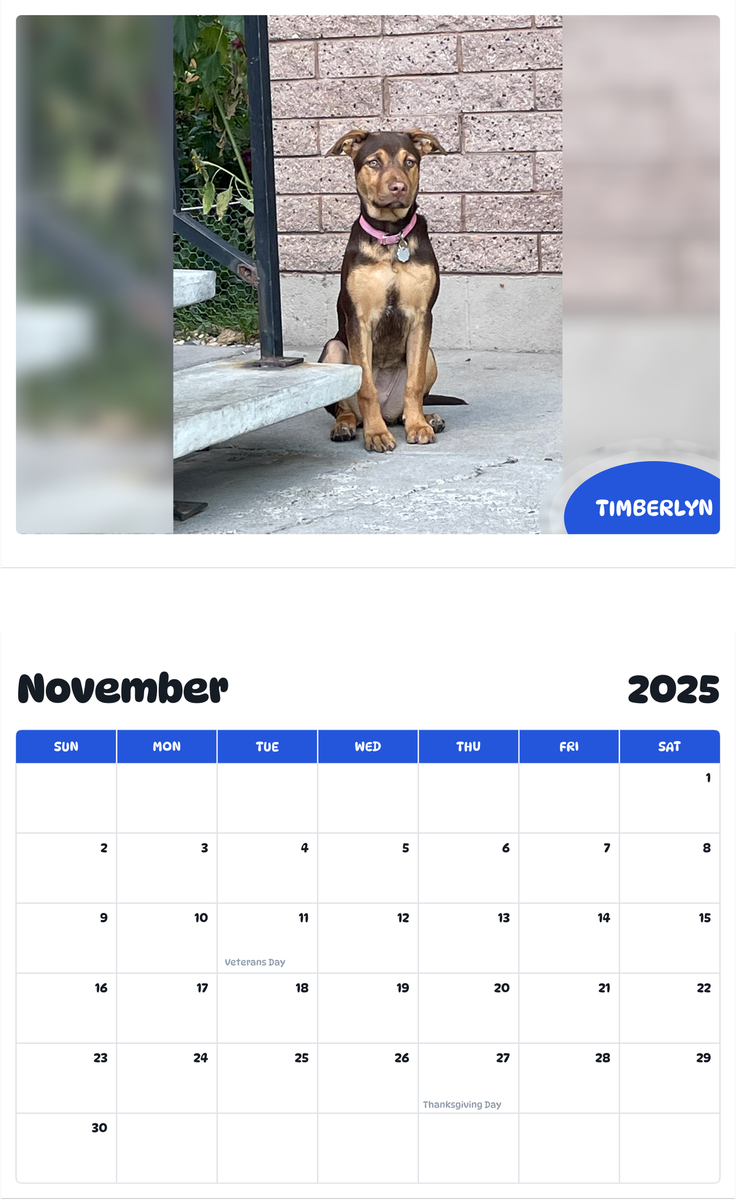July 2025 - June 2026 Timberlyn - Pawidols Pet Calendar