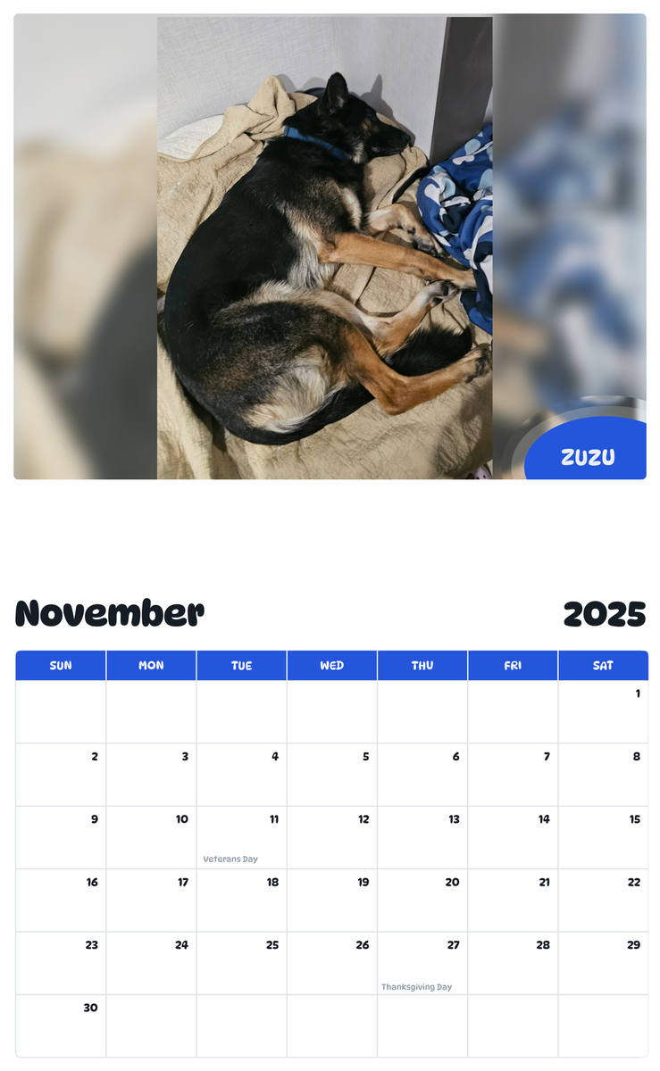 July 2025 - June 2026 Zuzu - Pawidols Pet Calendar