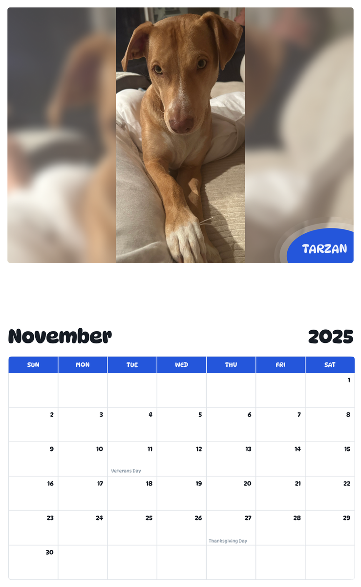 July 2025 - June 2026 Tarzan - Pawidols Pet Calendar