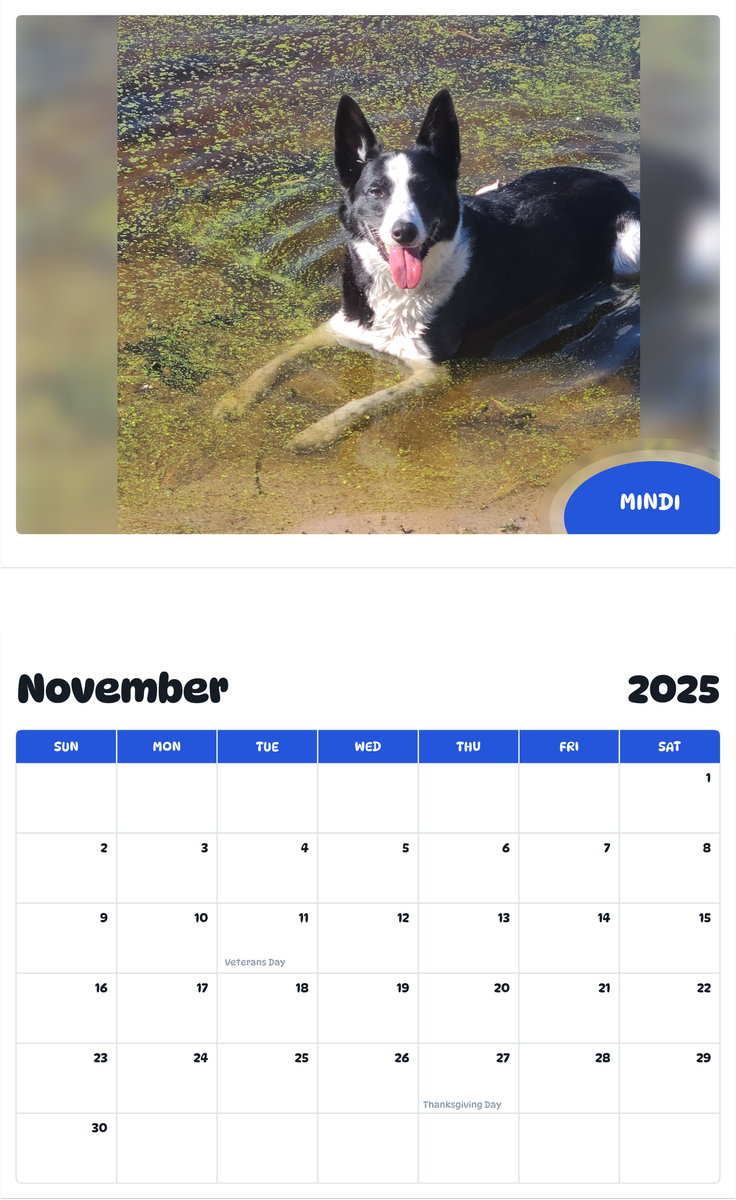 July 2025 - June 2026 Mindi - Pawidols Pet Calendar