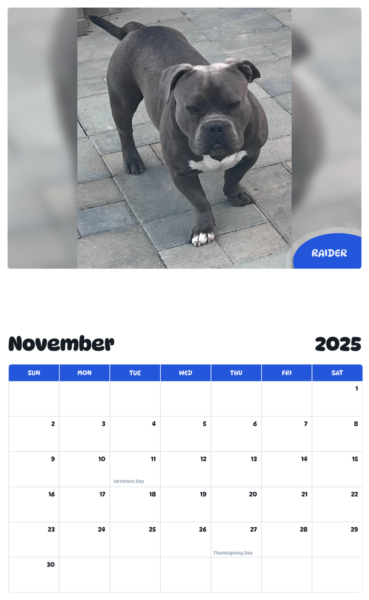 July 2025 - June 2026 Raider - Pawidols Pet Calendar