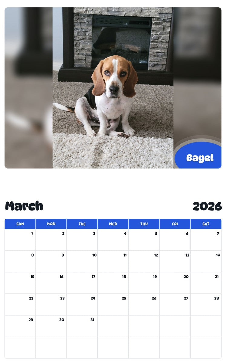 November 2025 - October 2026 Bagel - Pawidols Pet Calendar