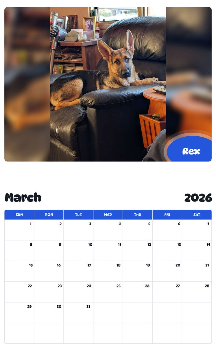 November 2025 - October 2026 Rex - Pawidols Pet Calendar