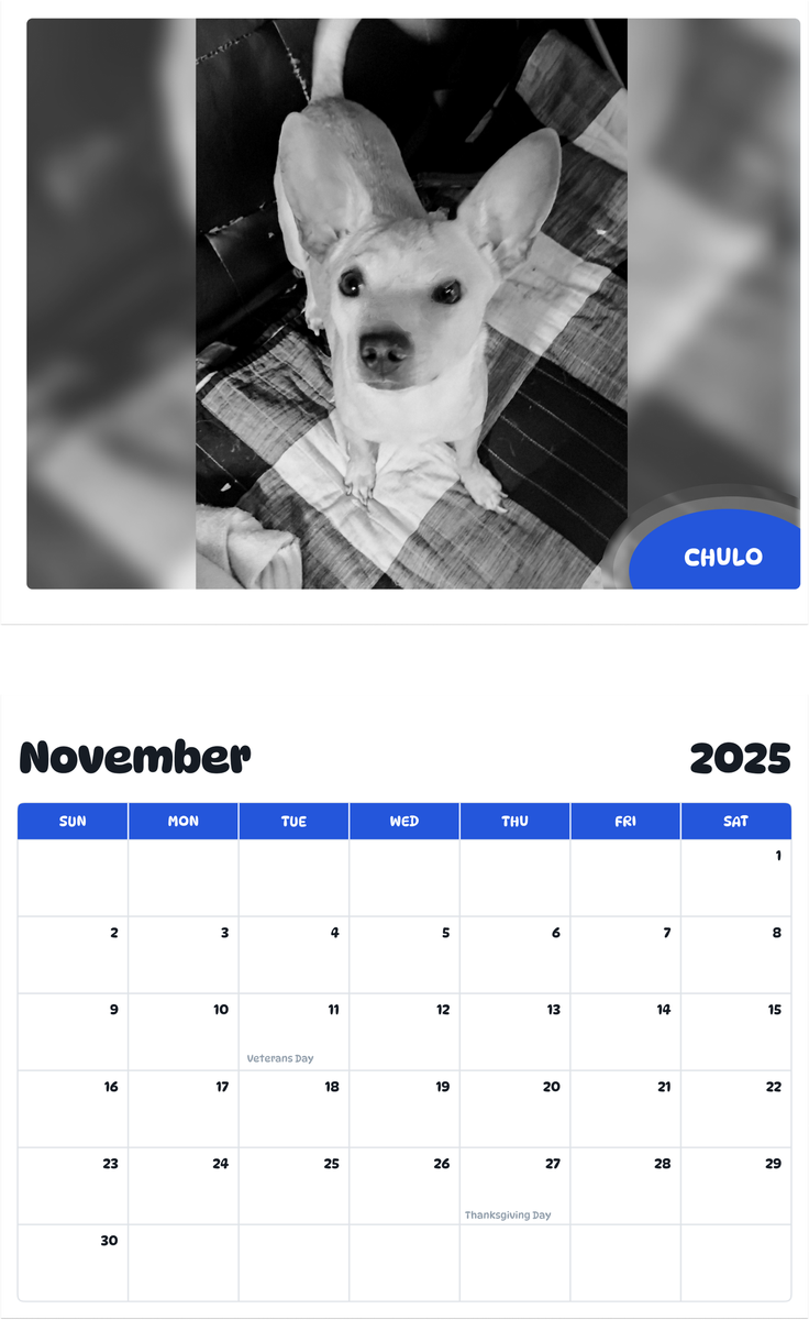 July 2025 - June 2026 Chulo - Pawidols Pet Calendar