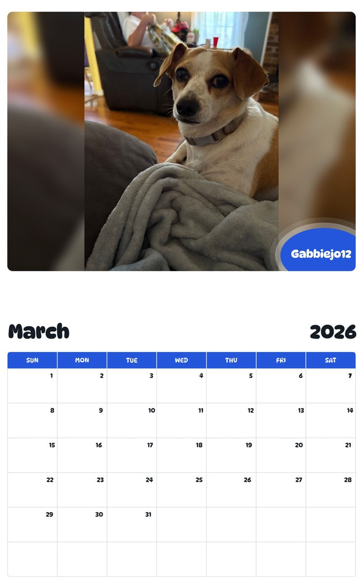 November 2025 - October 2026 Gabbiejo12 - Pawidols Pet Calendar
