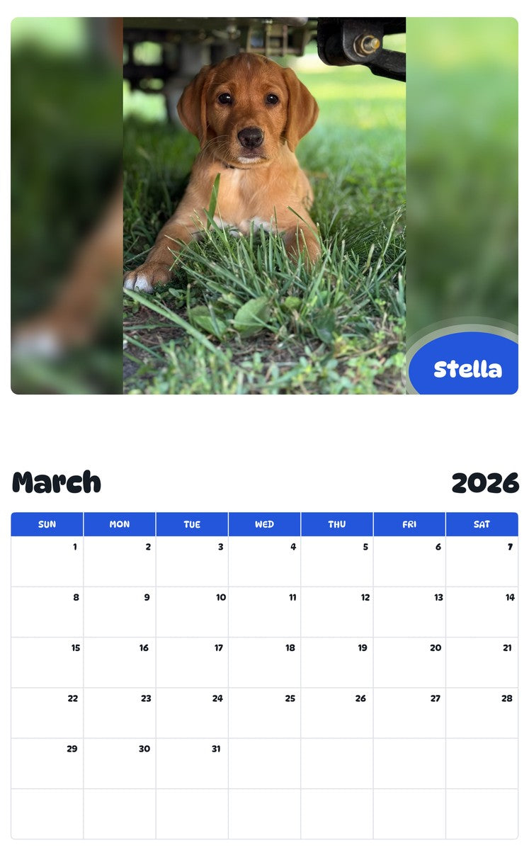 November 2025 - October 2026 Stella - Pawidols Pet Calendar
