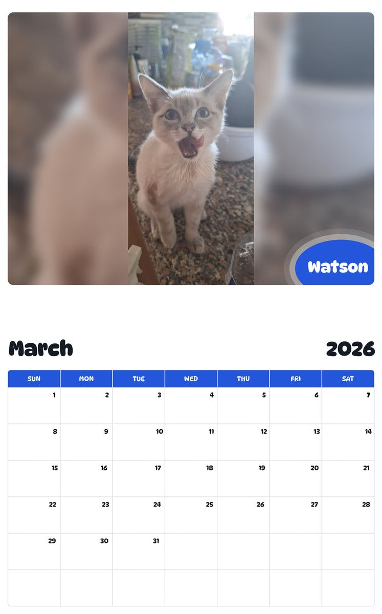 November 2025 - October 2026 Watson - Pawidols Pet Calendar
