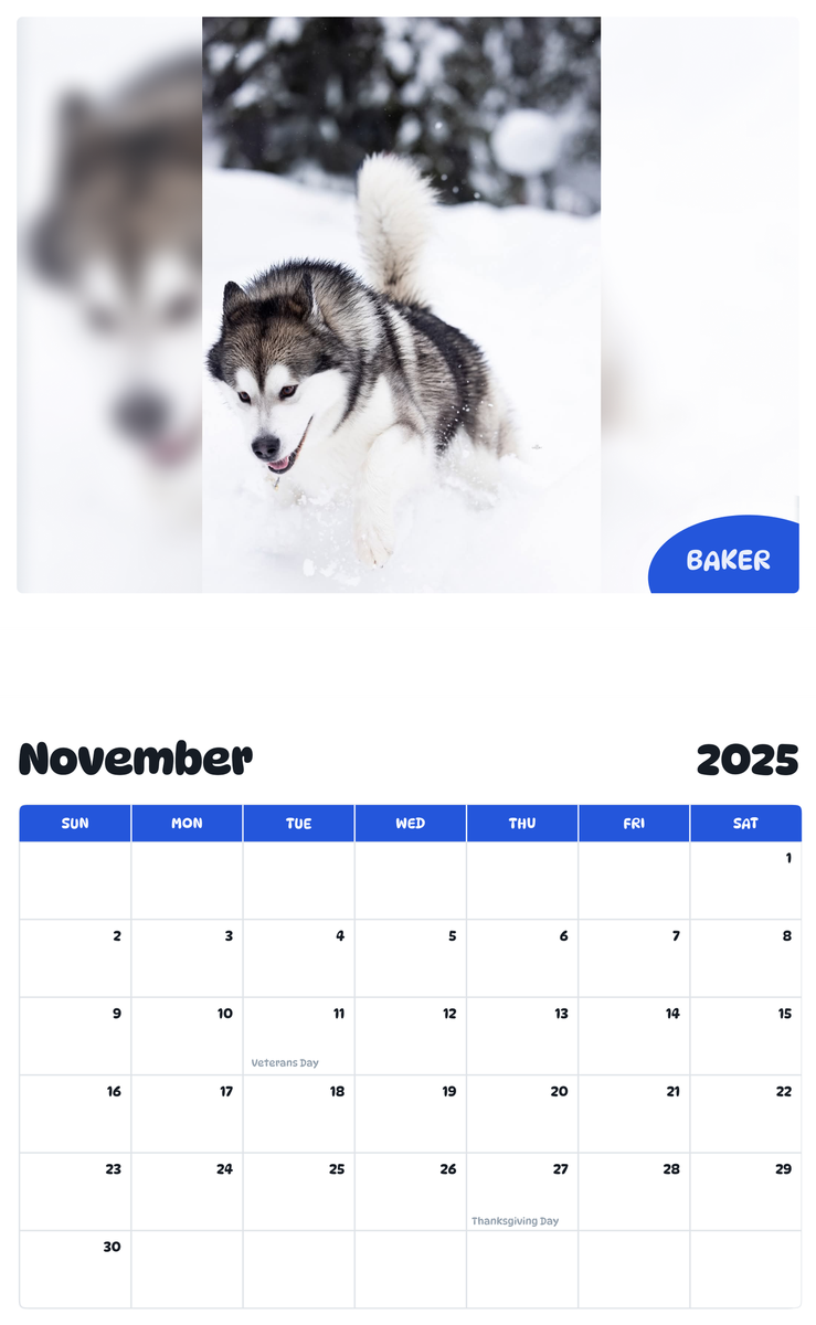 July 2025 - June 2026 Baker - Pawidols Pet Calendar