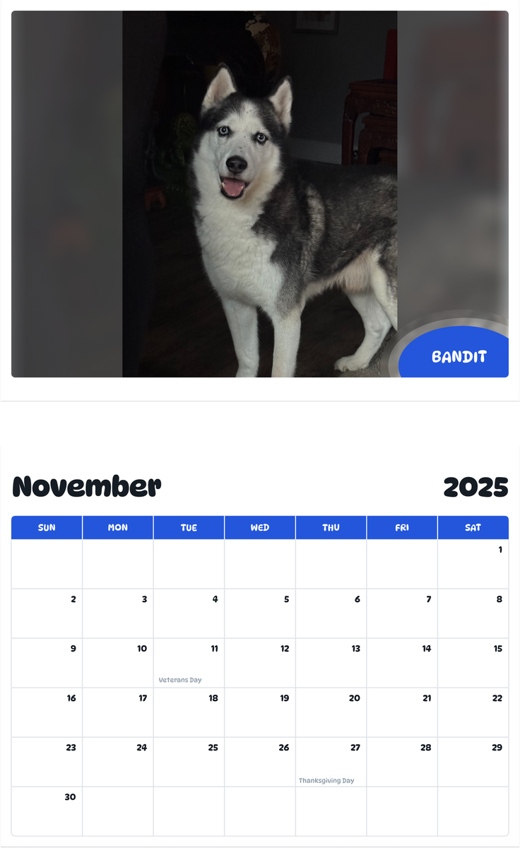 July 2025 - June 2026 Bandit - Pawidols Pet Calendar